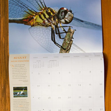 Tiny Pic in the Nature Conservancy Calendar - Hal Brindley Wildlife ...